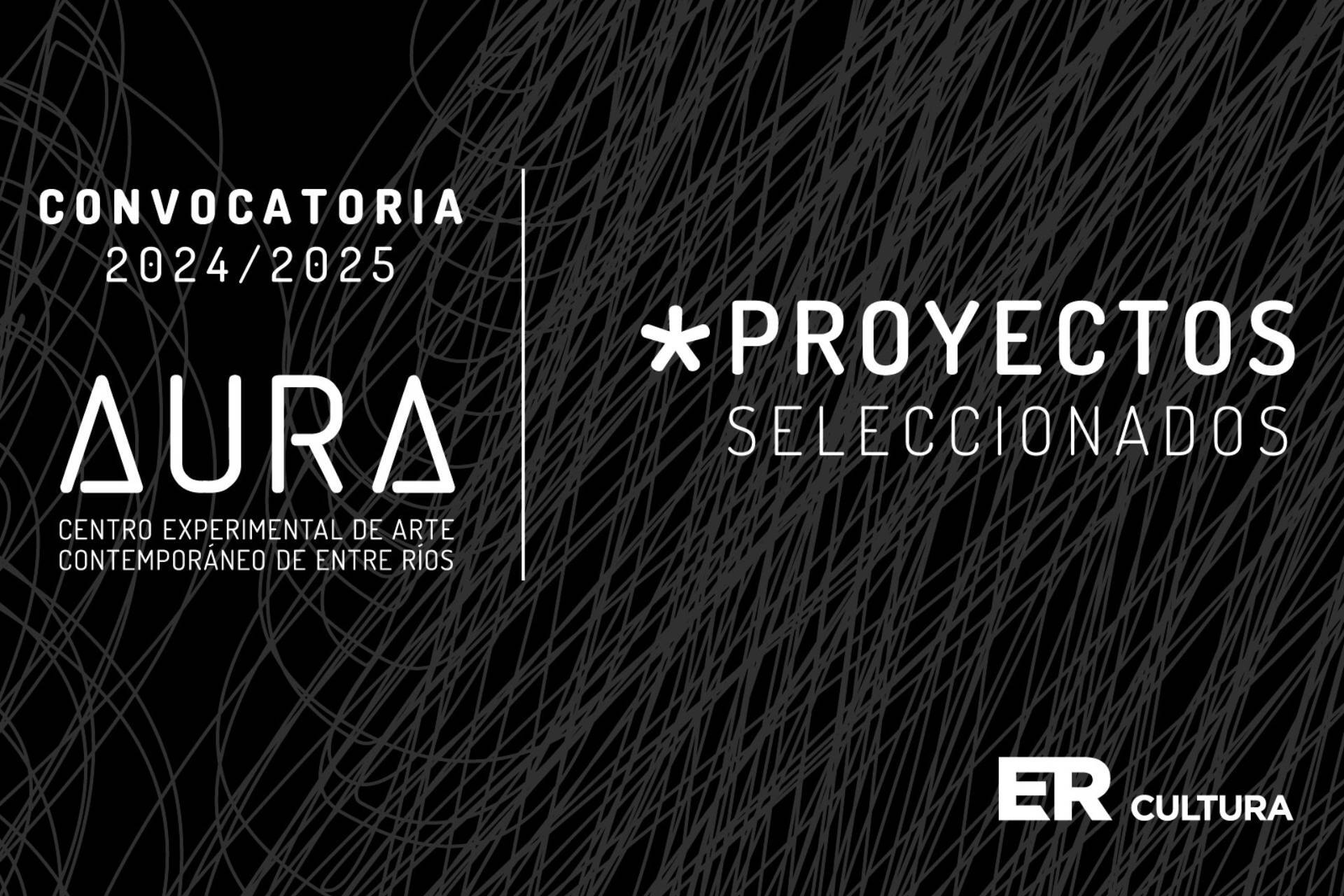 Difundieron los proyectos seleccionados de la convocatoria AURA - Prisma